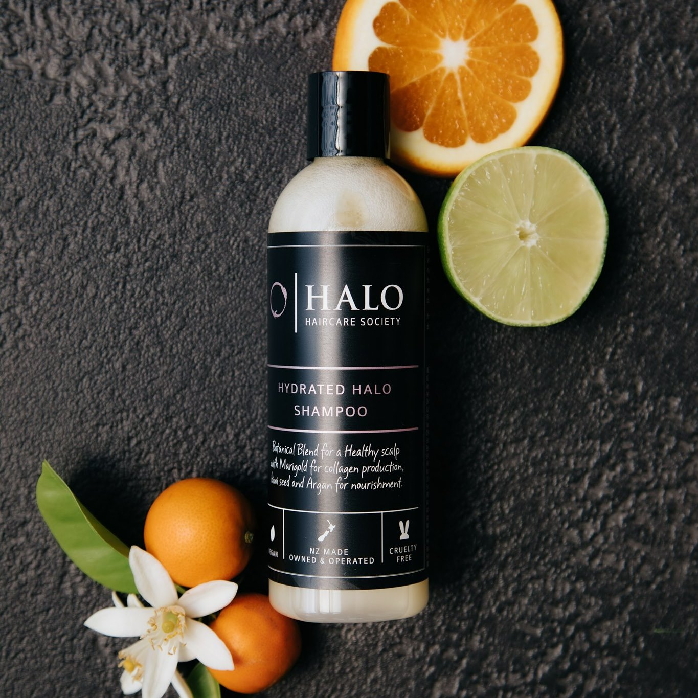 Hydrated Halo Shampoo - Oasis Hair